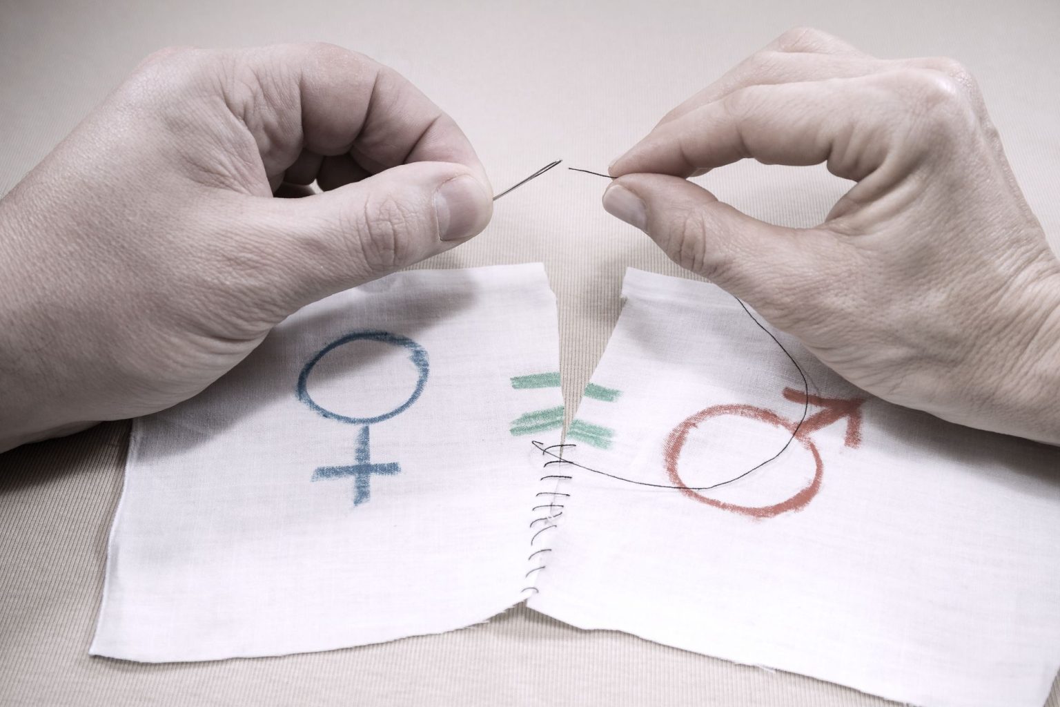 The Supreme Court rules on Equality Plans - Rosclar